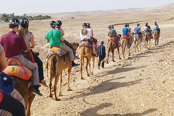 Custom Pilgrimages - Catholic Pilgrimages & Spiritual Journeys with 206 ...