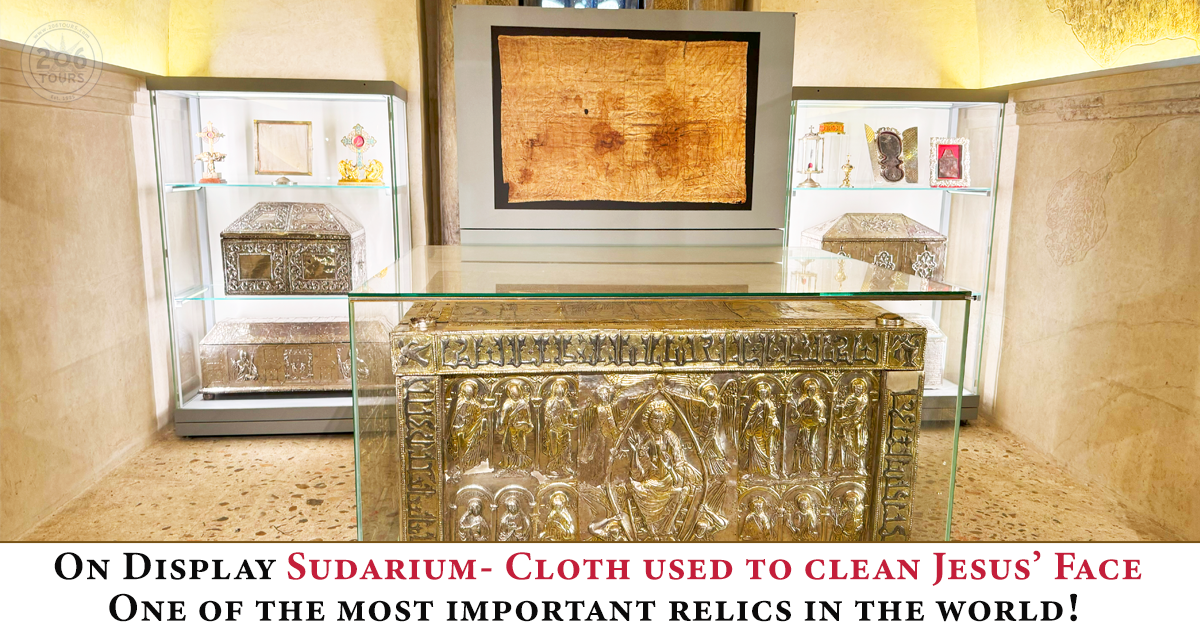 Fatima, Northern Spain with The Sudarium of Oviedo & Lourdes with 206 ...